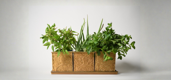 Buy Decorative Brass Vases Online | Byaas